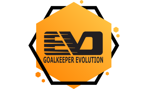 Partners: Goalkeeping-Development